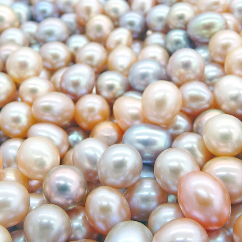 Isle of Wight Pearl - Your Visit