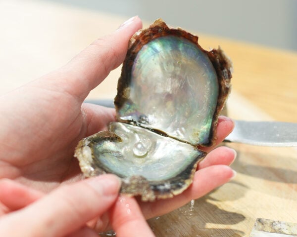 Isle of Wight Pearl - Your Visit