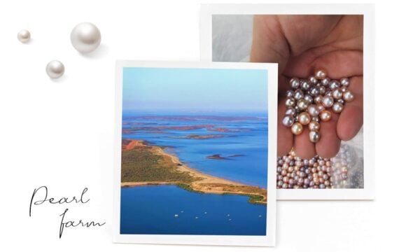 Isle of Wight Pearl - Learn About Pearls