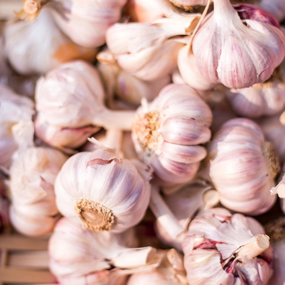 Isle of Wight Pearl - Pearl Café