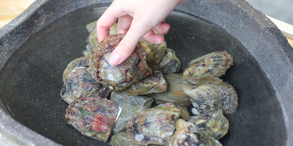 Isle of Wight Pearl - Easter at Isle of Wight Pearl and the Surrounding ...