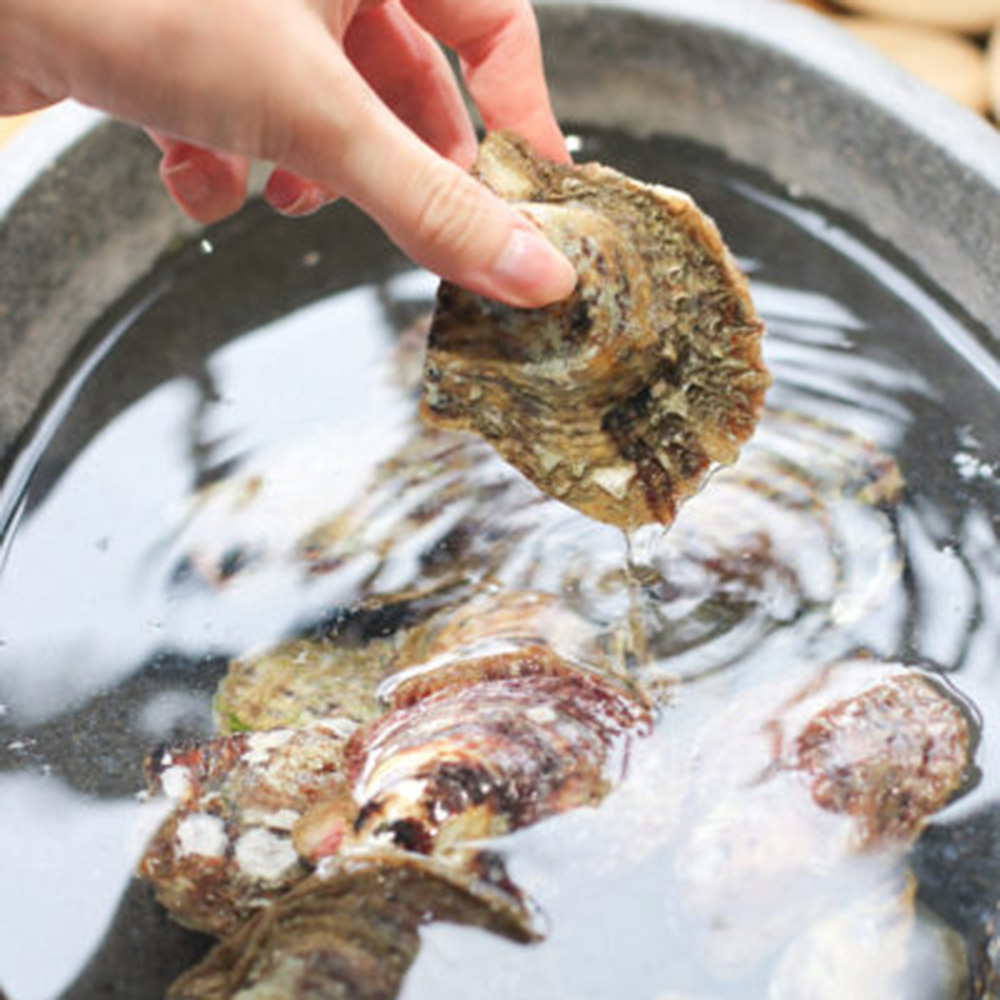 Isle of Wight Pearl - Your Visit