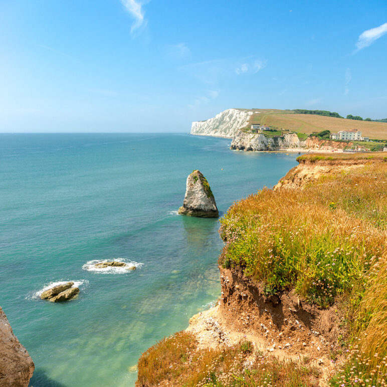 Isle of Wight Pearl - Your Visit