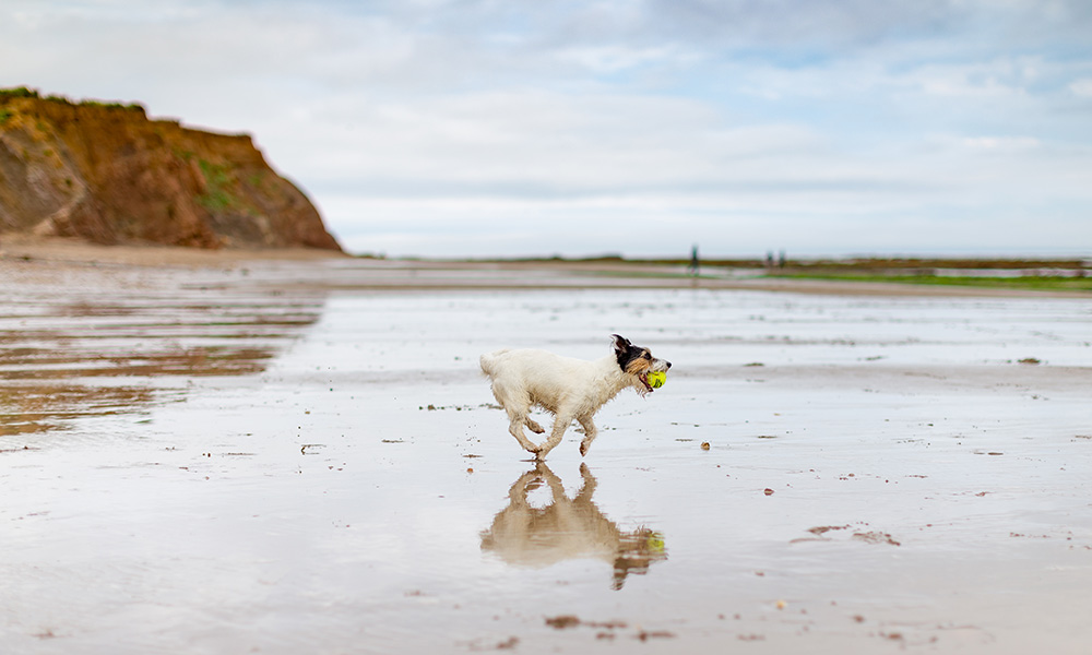 Isle of Wight Pearl - What to do this Mother’s Day at Isle of Wight Pearl